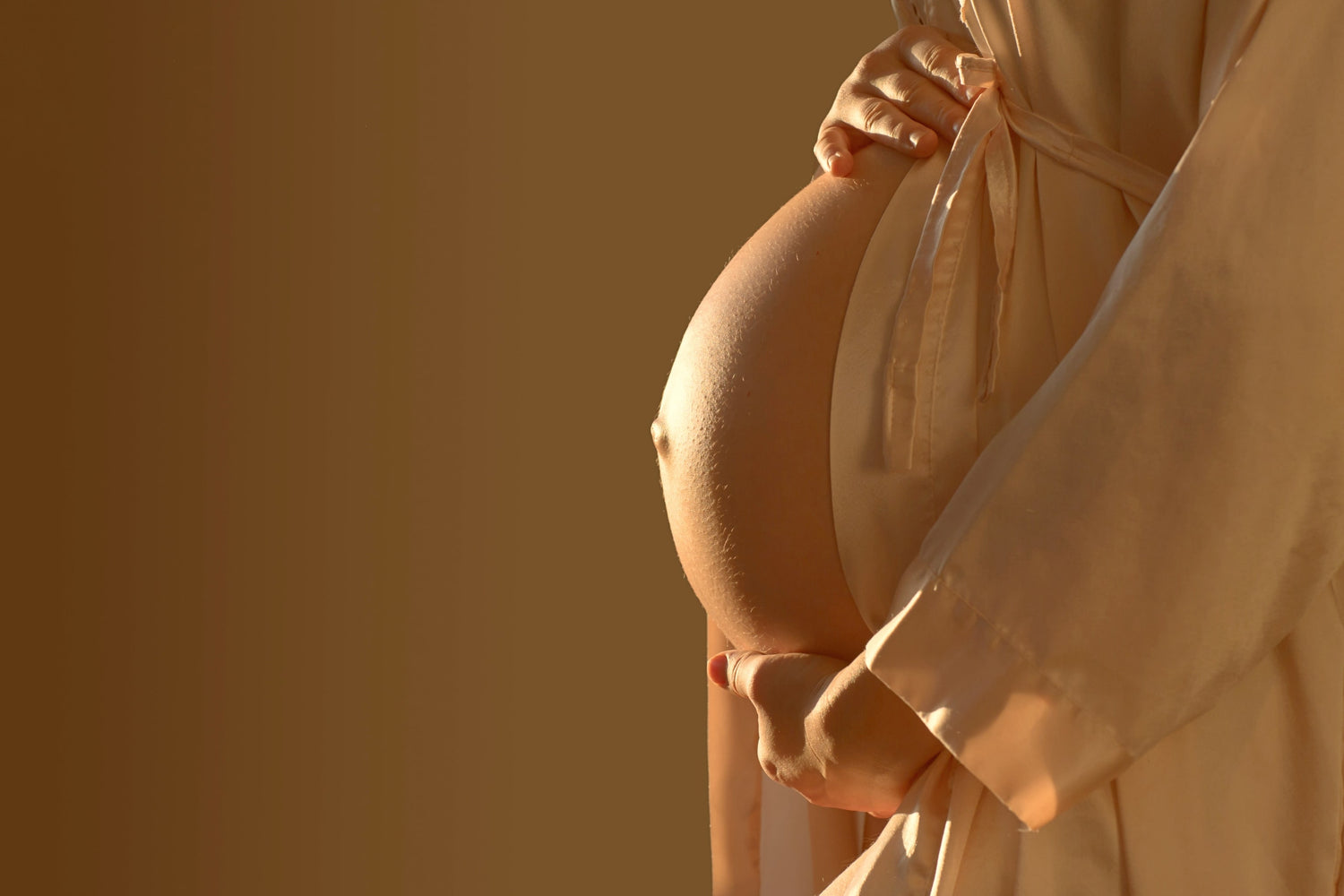 The Muse-Experience – Mellow Muses